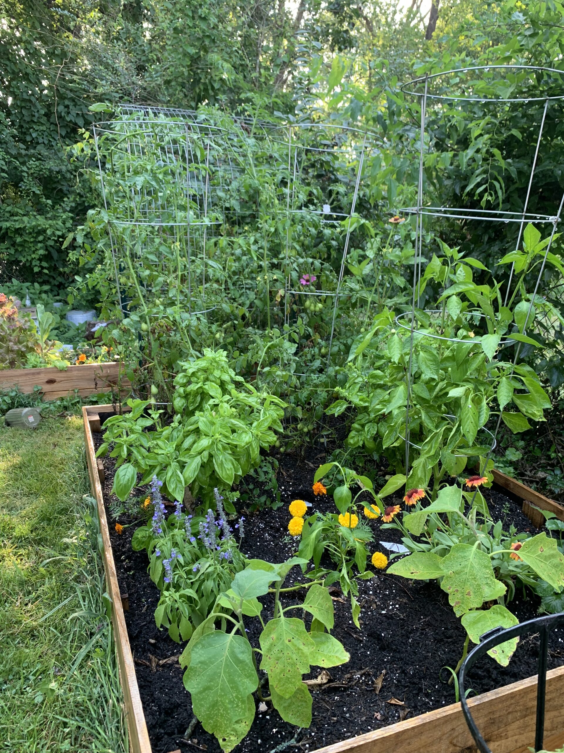 Praying This Intently for My Kids | Showit Blog